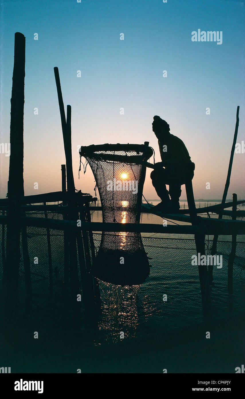 Emilia Romagna - Comacchio (Fe). Eel fishing. Sunset Stock Photo - Alamy