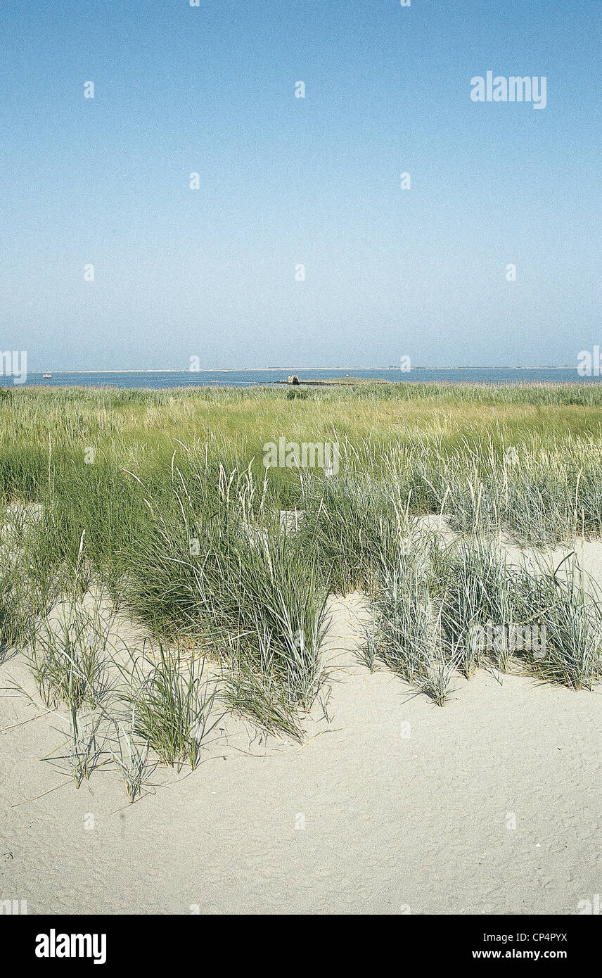 Veneto Nature Reserve Port Of Po Bag Of Canaries Stock Photo - Alamy