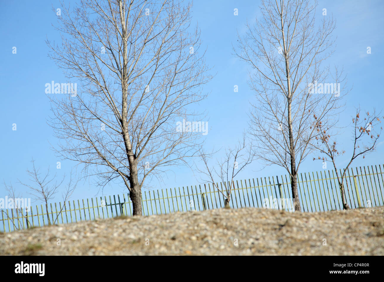 trees and fence Stock Photo - Alamy