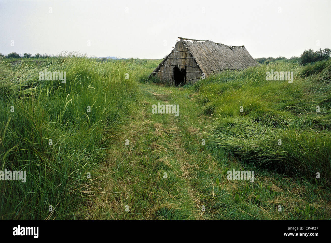 Emilia Romagna - Regional Natural Park of Delta del Po - Valle Bertuzzi ...