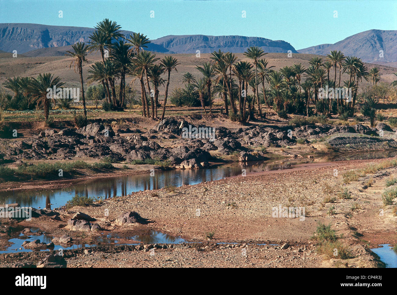 Oued Draa Stock Photos & Oued Draa Stock Images - Alamy