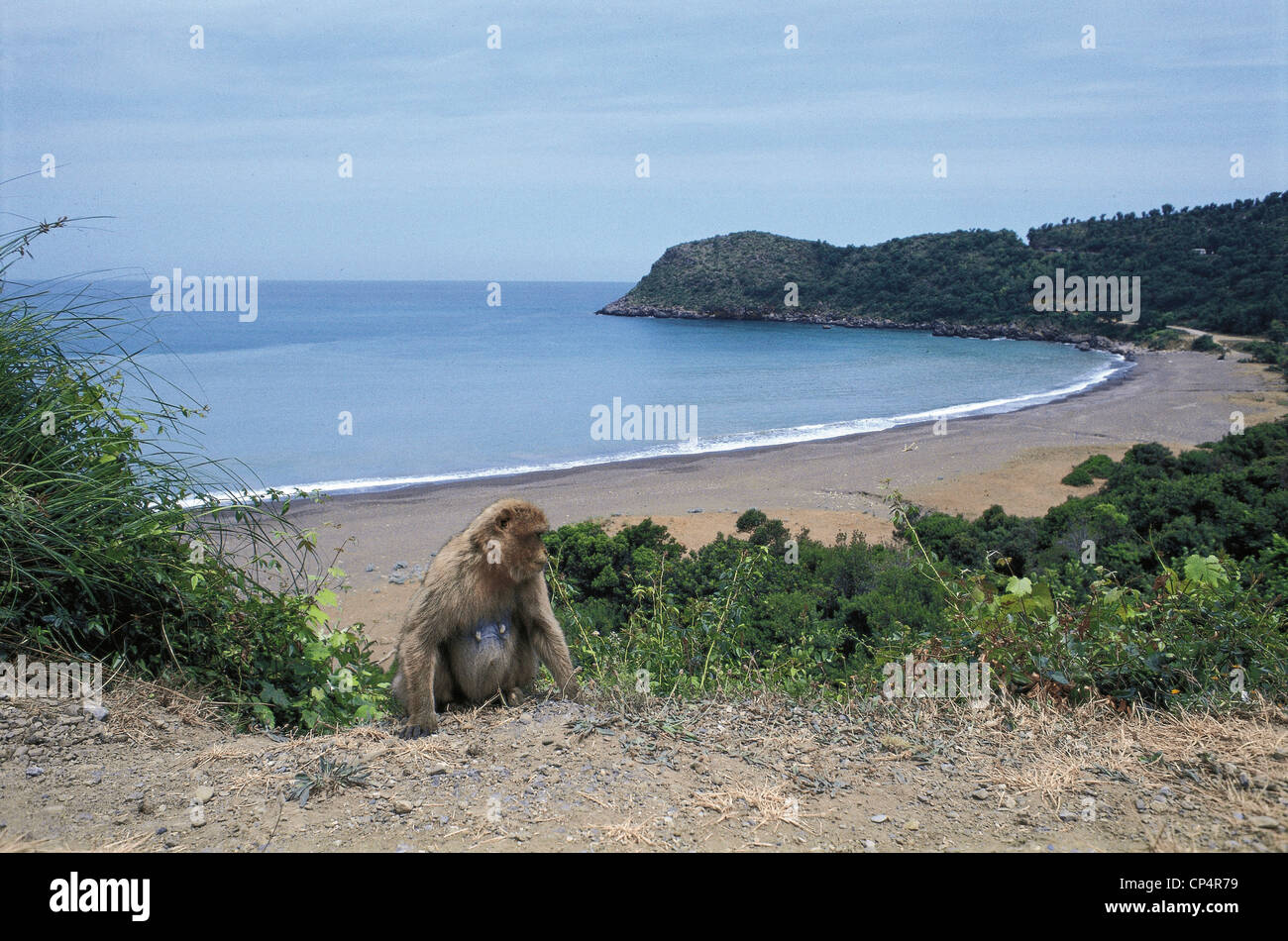 Jijel algeria hi-res stock photography and images - Alamy