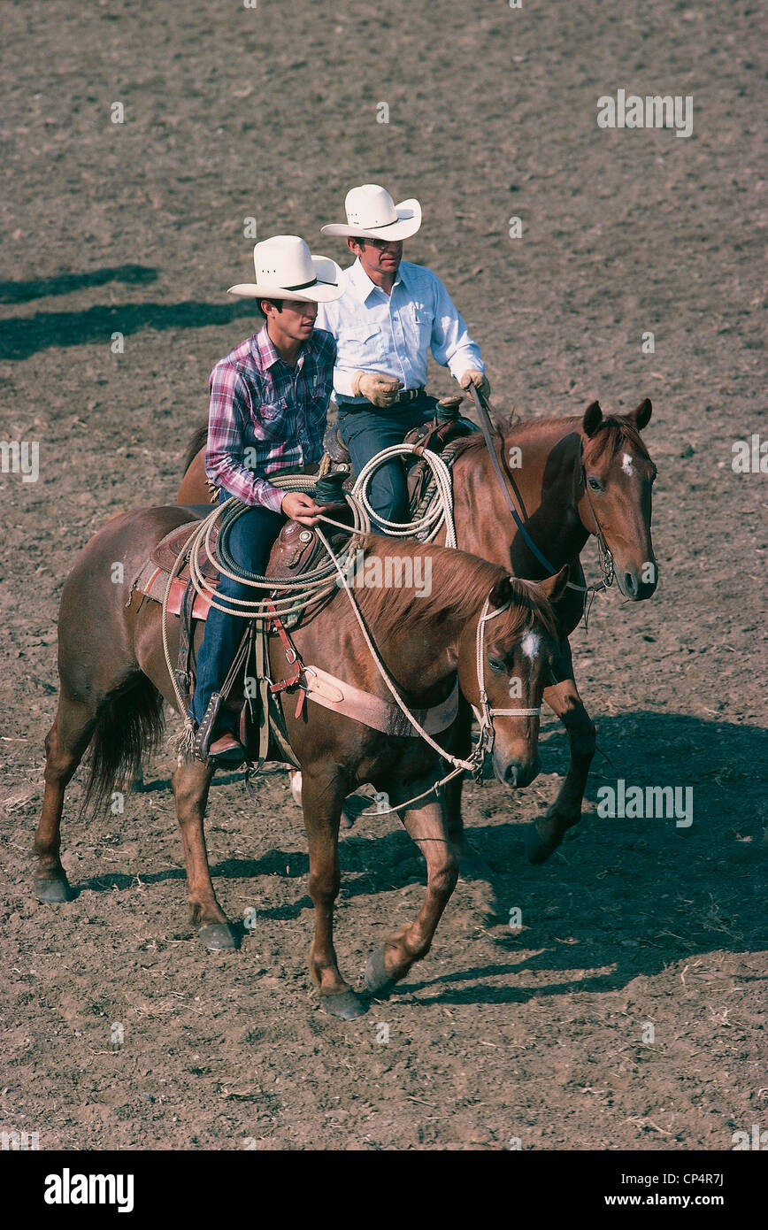 United States of America - Texas - Fort Worth rodeo Stock Photo - Alamy