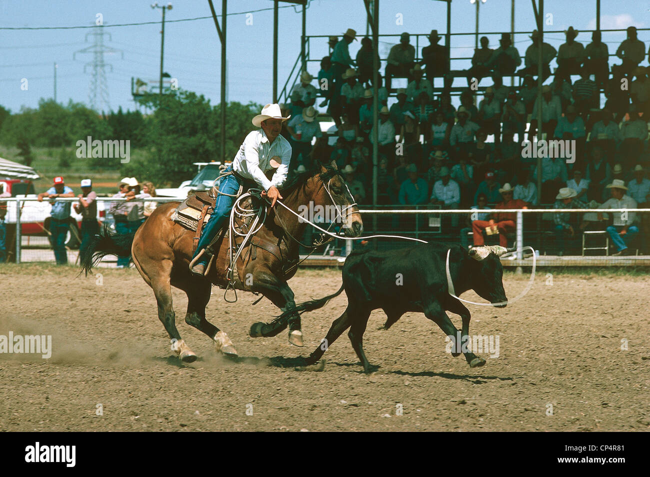 United States of America - Texas - Fort Worth rodeo Stock Photo - Alamy