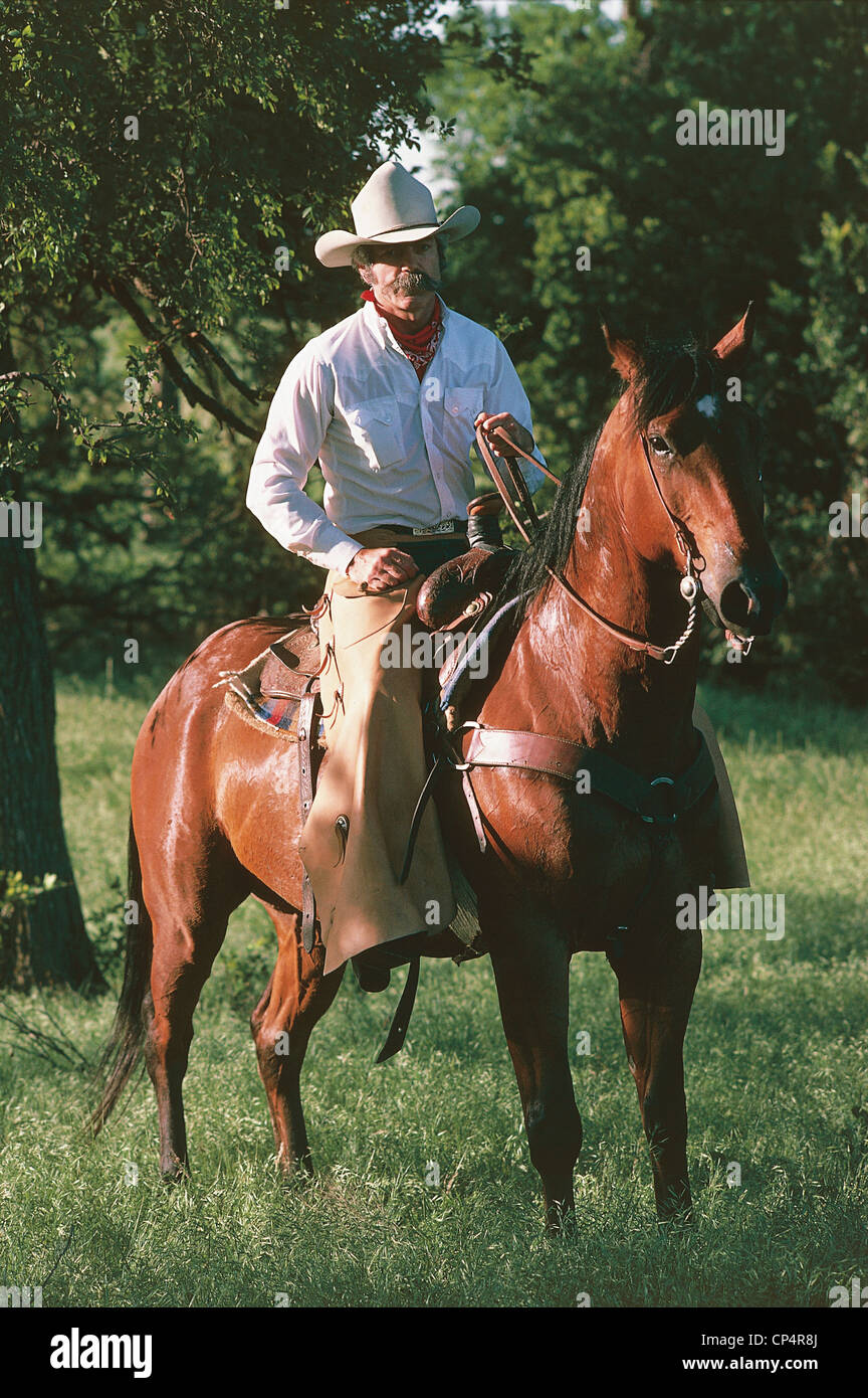 United States of America - Texas - Greater Fort Worth. Cowboy on ...