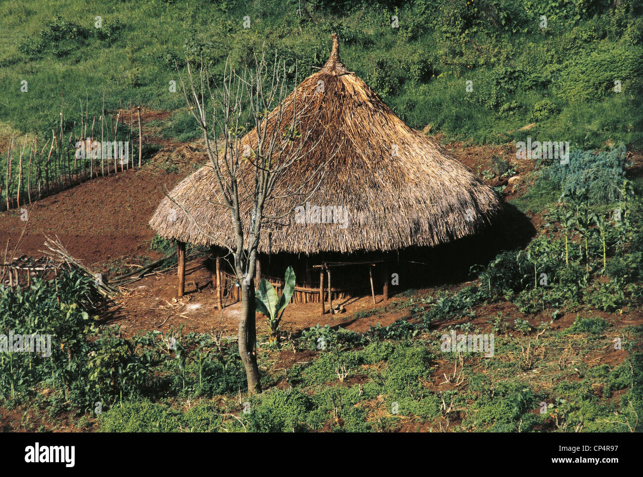 Ethiopia tukul hut hi-res stock photography and images - Alamy