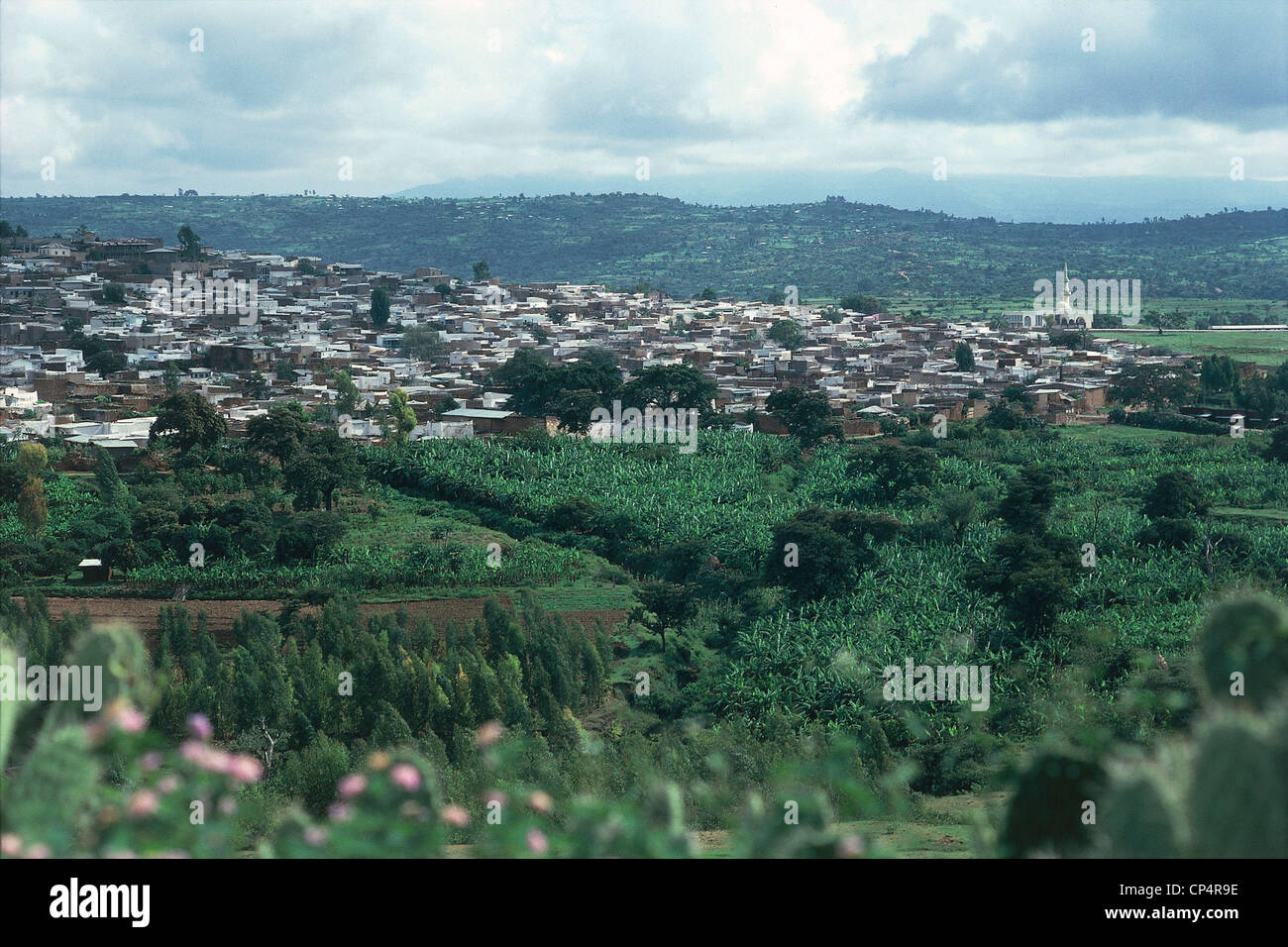 Ethiopia - Harar Jugol, a fortified town (a World Heritage Site by ...