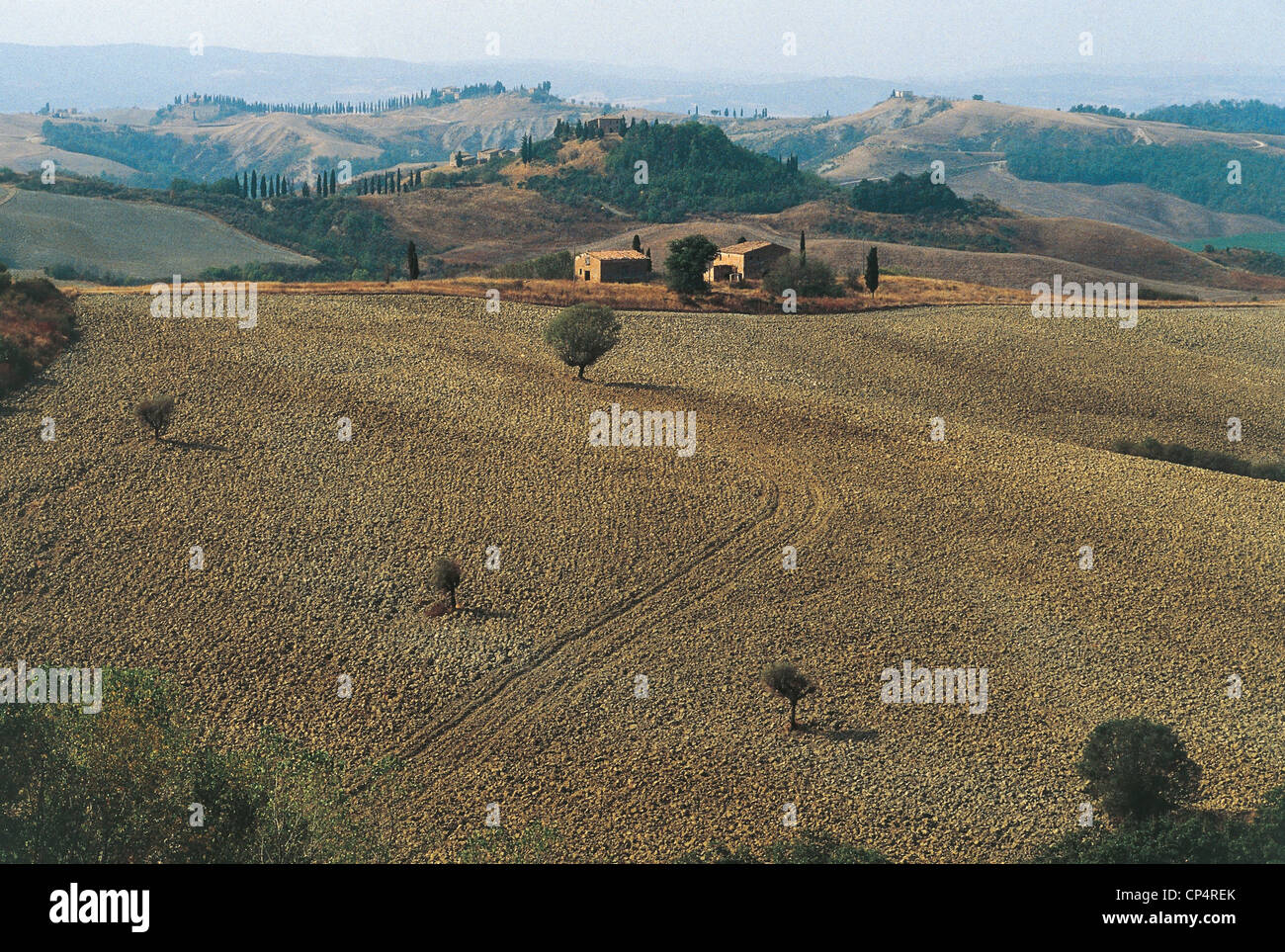 Siena Tuscany Countryside Stock Photo - Alamy