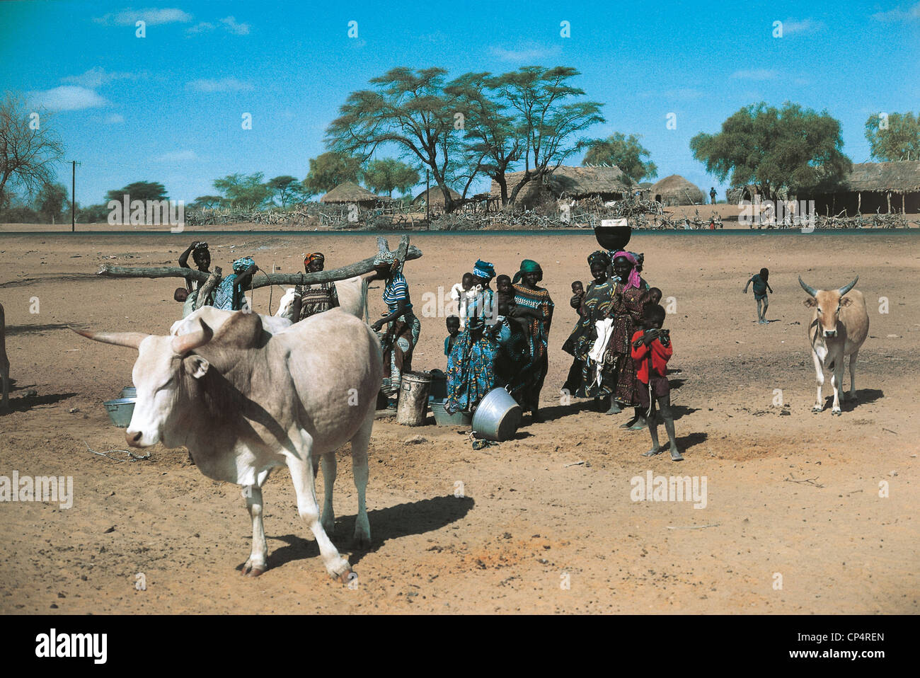 SENEGAL AROUND Podor SCENE OF LIFE Stock Photo - Alamy