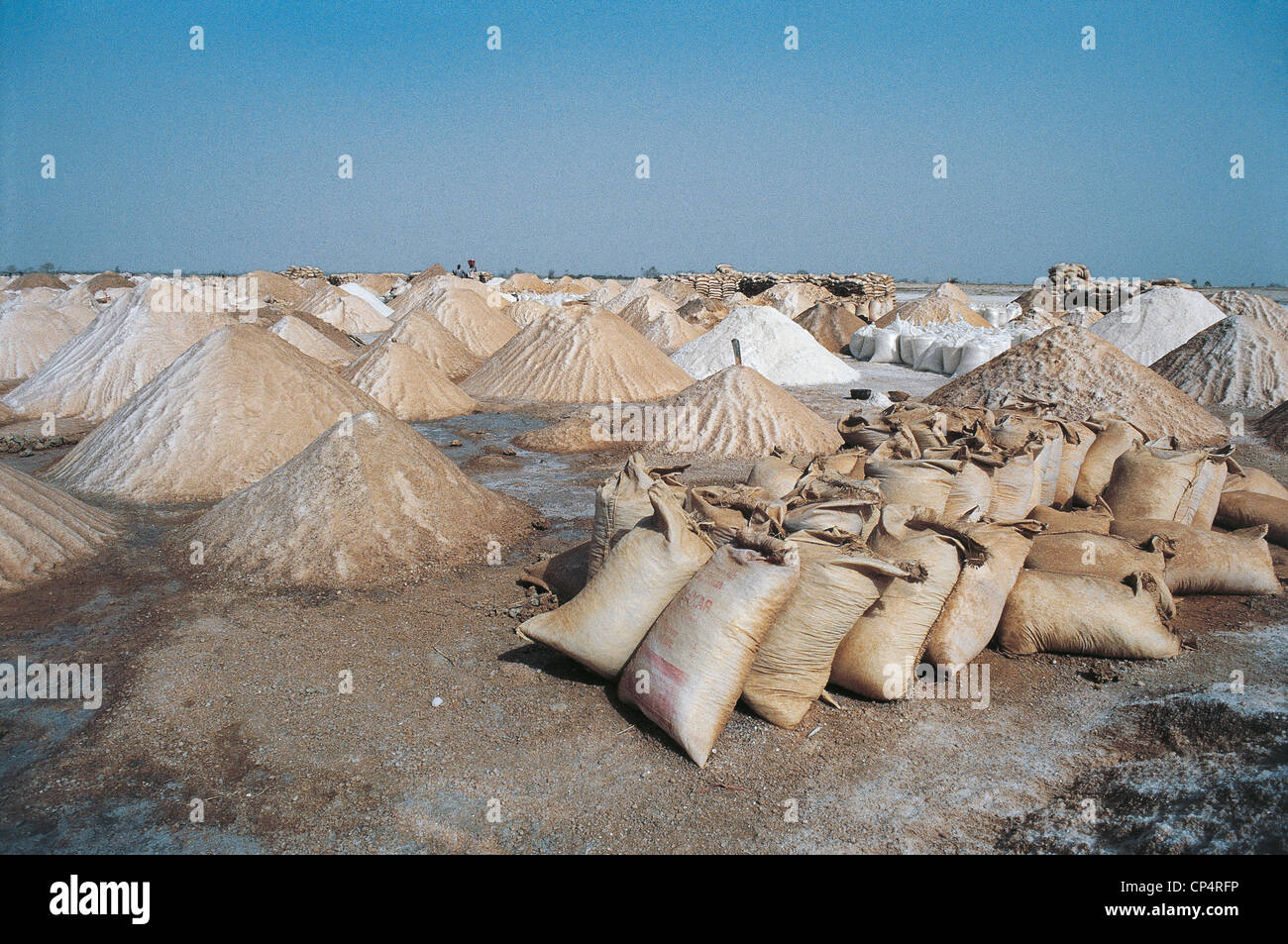 Senegal salt lake rose hi-res stock photography and images - Alamy