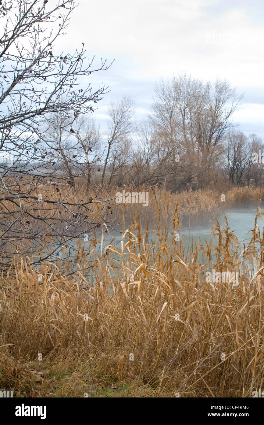 Slovak lake hi-res stock photography and images - Alamy