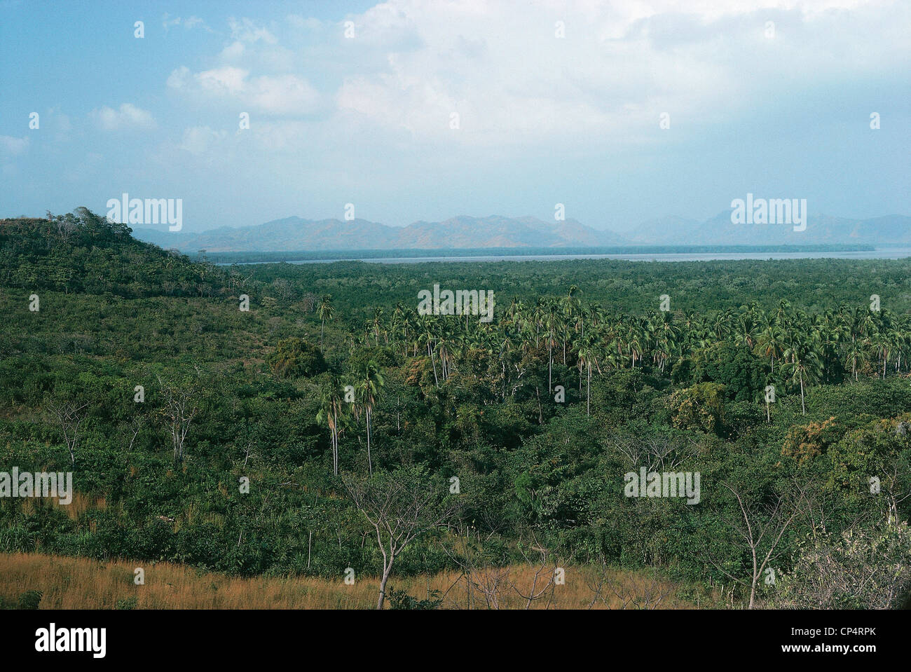 Panama - Punta Chame Stock Photo - Alamy
