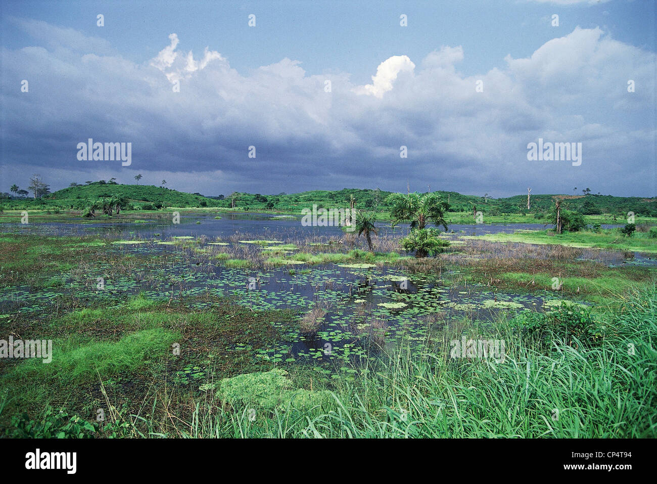 Ghana - Landscape near Abaadze Stock Photo - Alamy