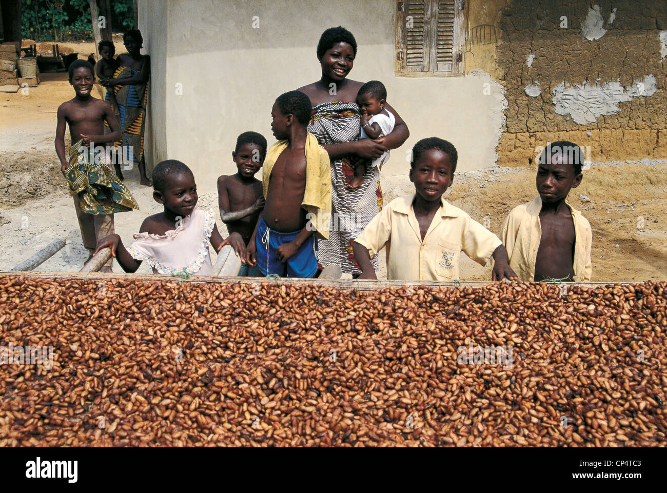 Ghana Gold Coast - Drying Cocoa Stock Photo - Alamy