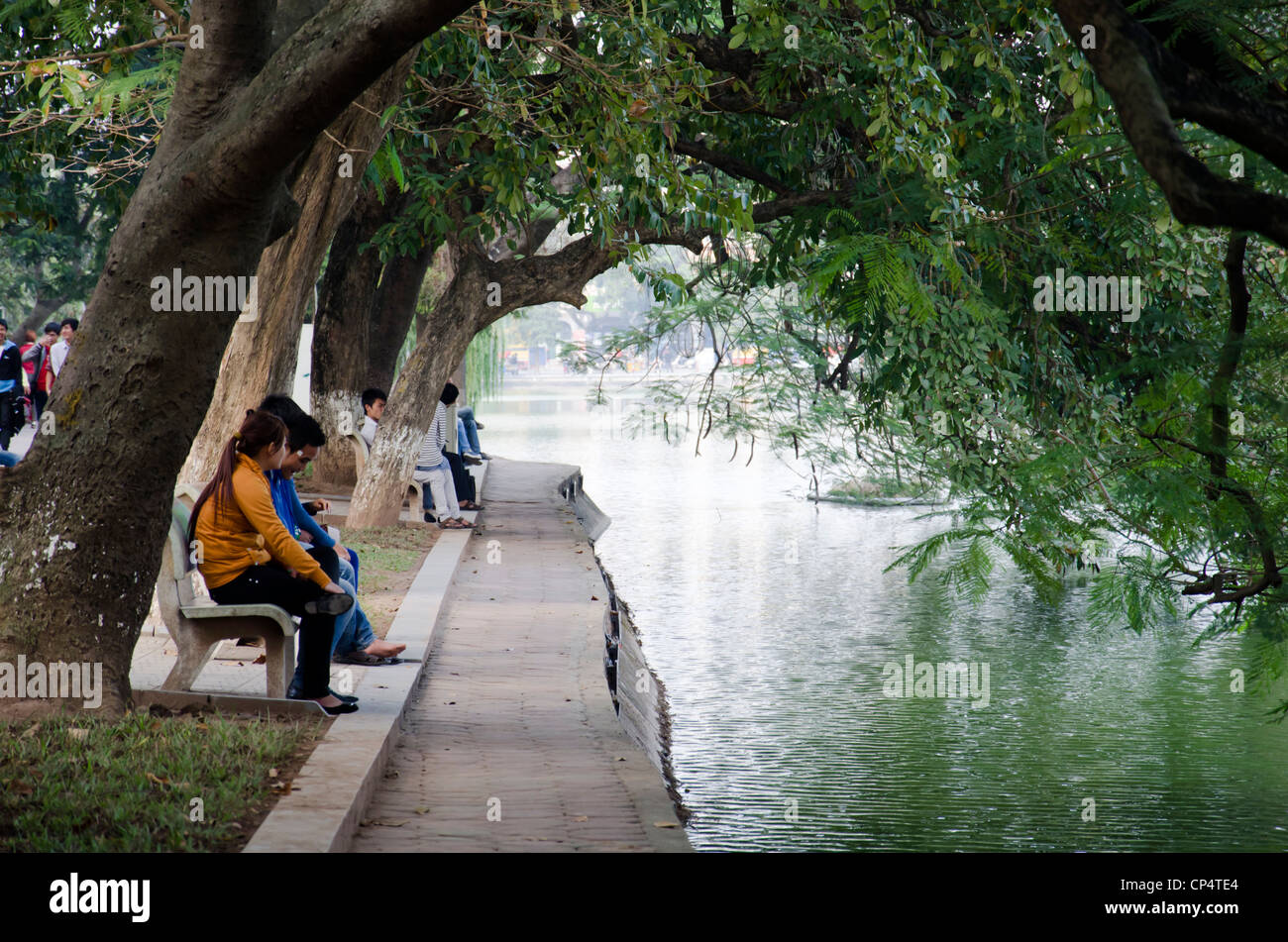 Lake tree bench lakeside treebranch hi-res stock photography and images ...