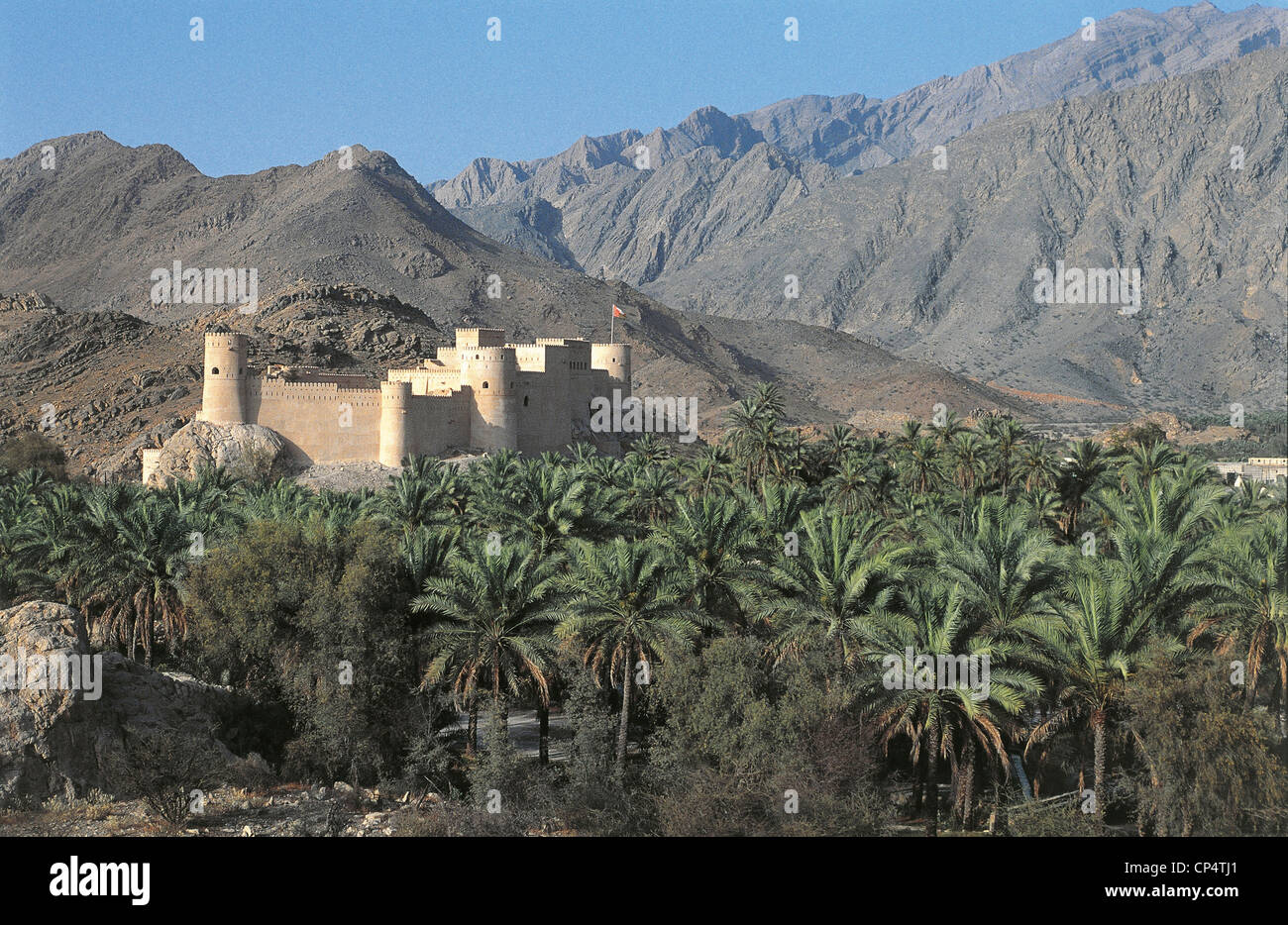 Nakhla hi-res stock photography and images - Alamy