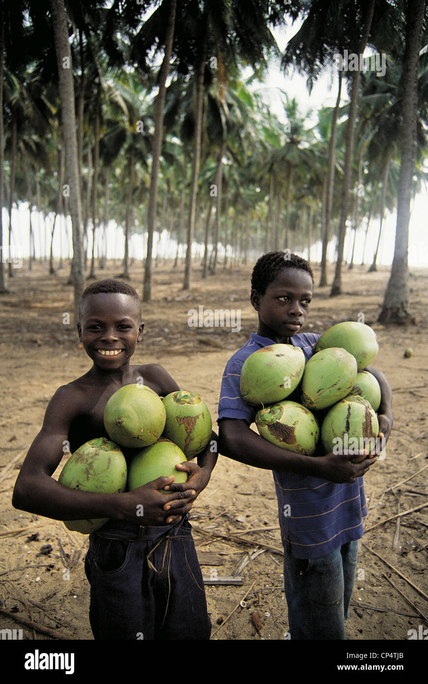 Ghana coconuts hi-res stock photography and images - Alamy