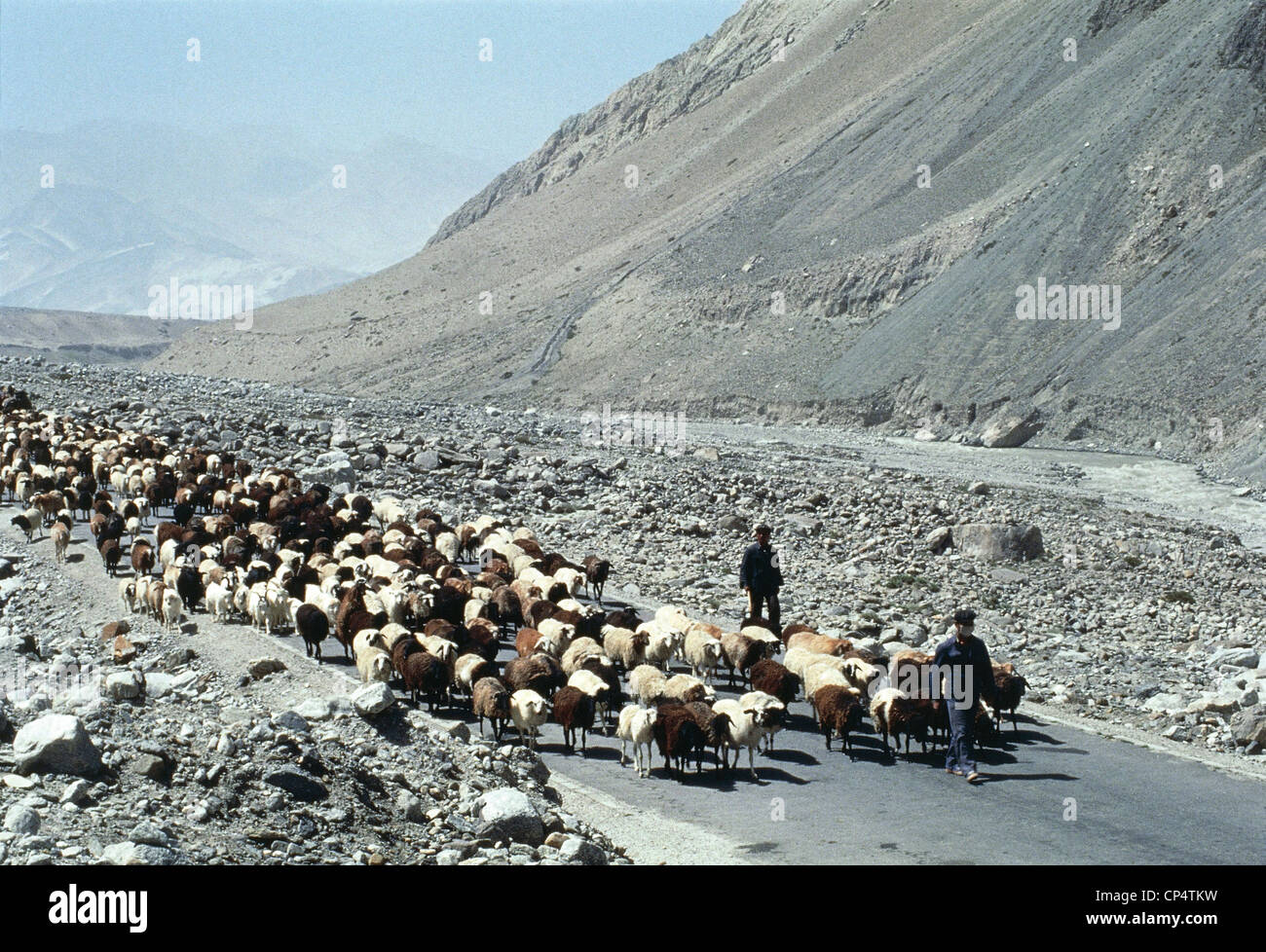 China - Kunlun - Flock Stock Photo - Alamy