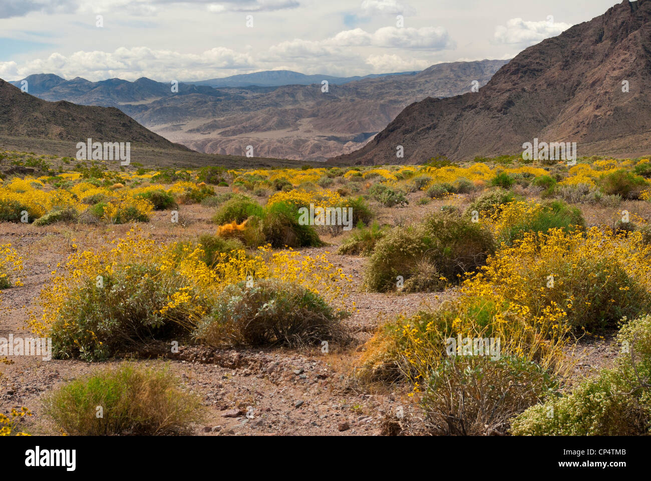 Mile marker 46 california hi-res stock photography and images - Alamy