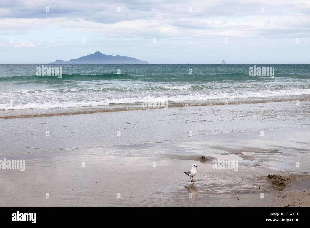 Waipu Cove beach and Taranga Island at the horizon, Northland, New ...
