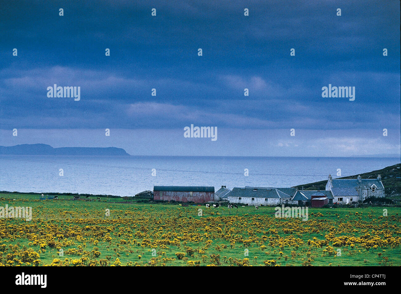 Port wemyss islay hi-res stock photography and images - Alamy