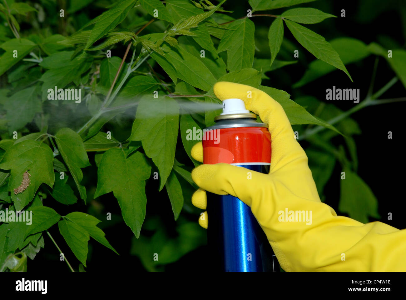 Hand spraying weedkiller hi-res stock photography and images - Alamy