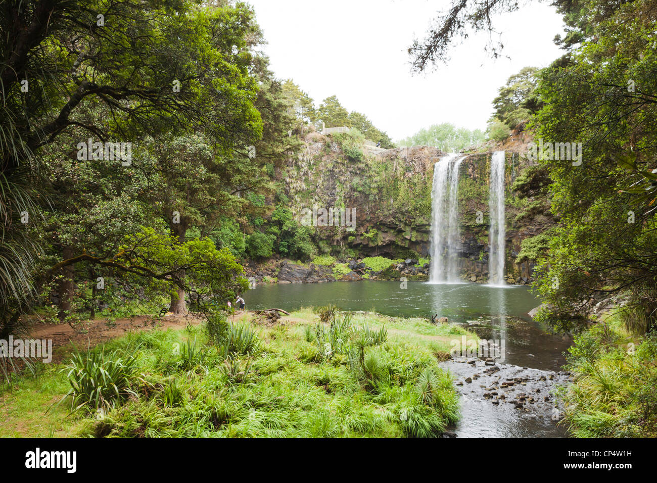 Whangarei scenic reserve hi-res stock photography and images - Alamy