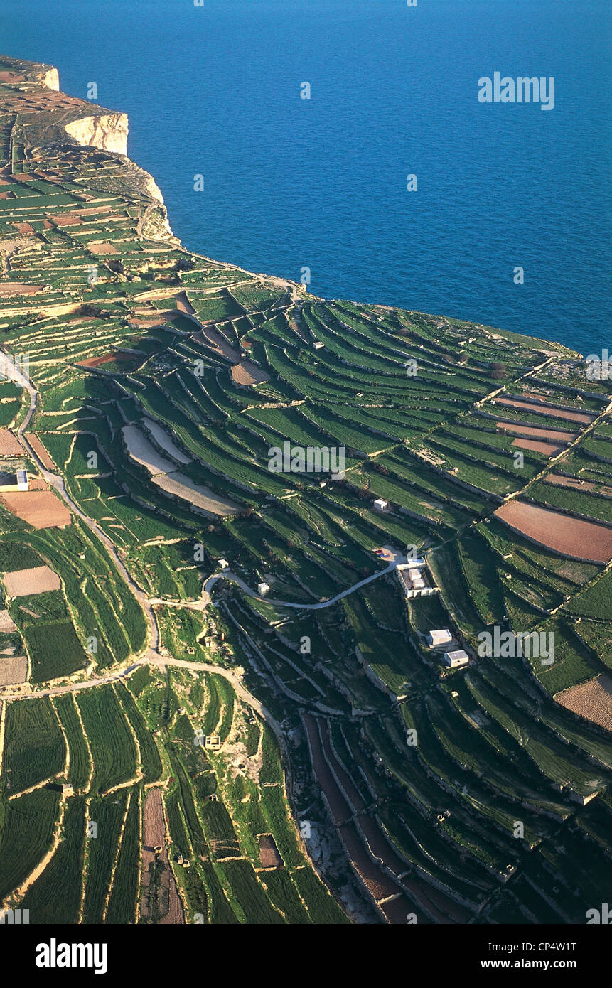 Malta - Island of Gozo. Terraced fields on the south coast Stock Photo ...