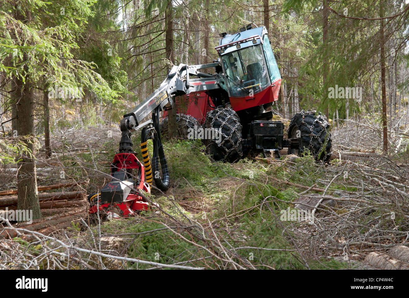 A Valmet tree chopper in the woods Stock Photo - Alamy