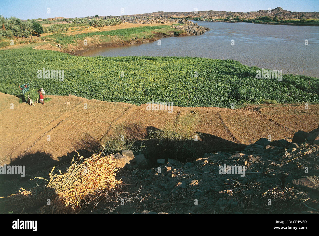 Fourth cataract hi-res stock photography and images - Alamy