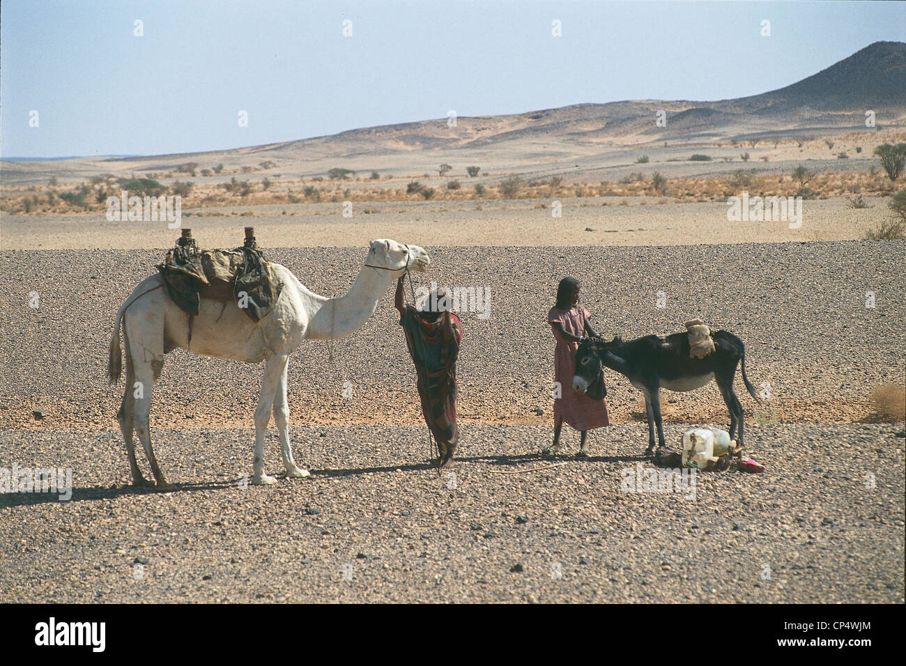 Sudan Libyan Desert Nomads Stock Photo - Alamy