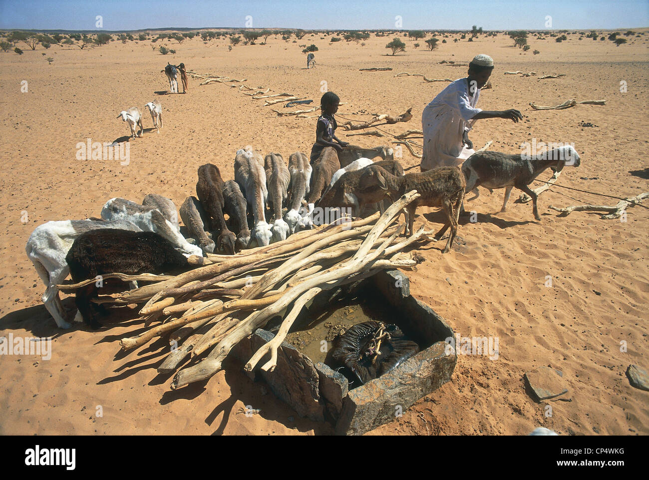 Wadi muqaddam hi-res stock photography and images - Alamy