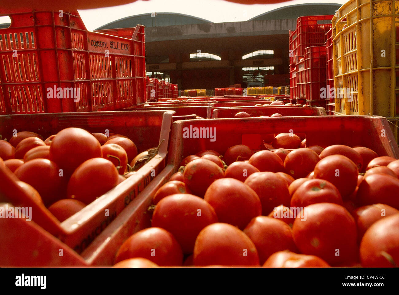 Canning factory hi-res stock photography and images - Alamy
