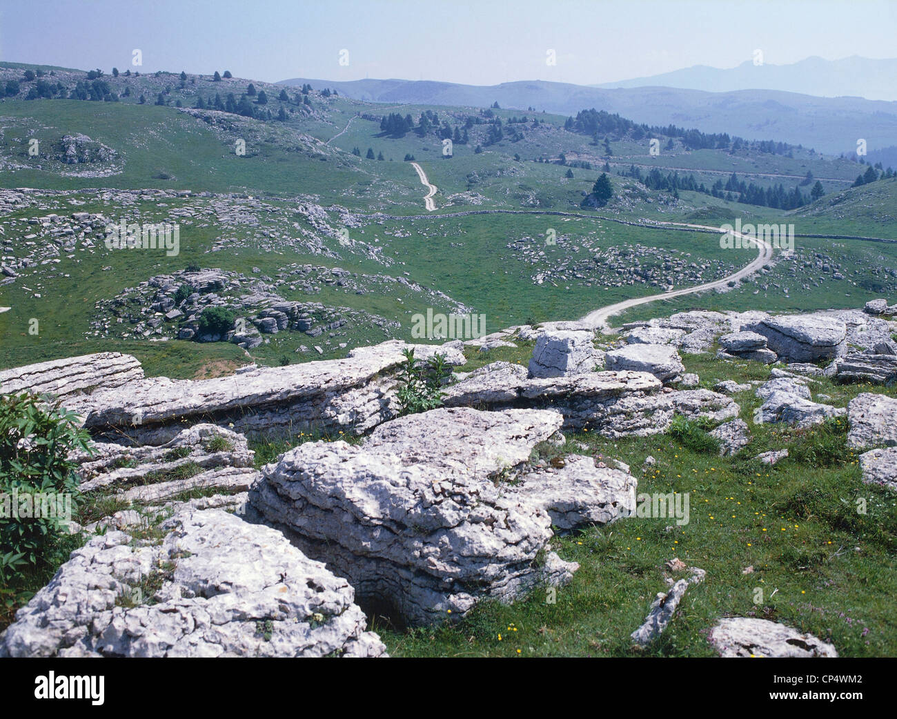 Lessini hi-res stock photography and images - Alamy