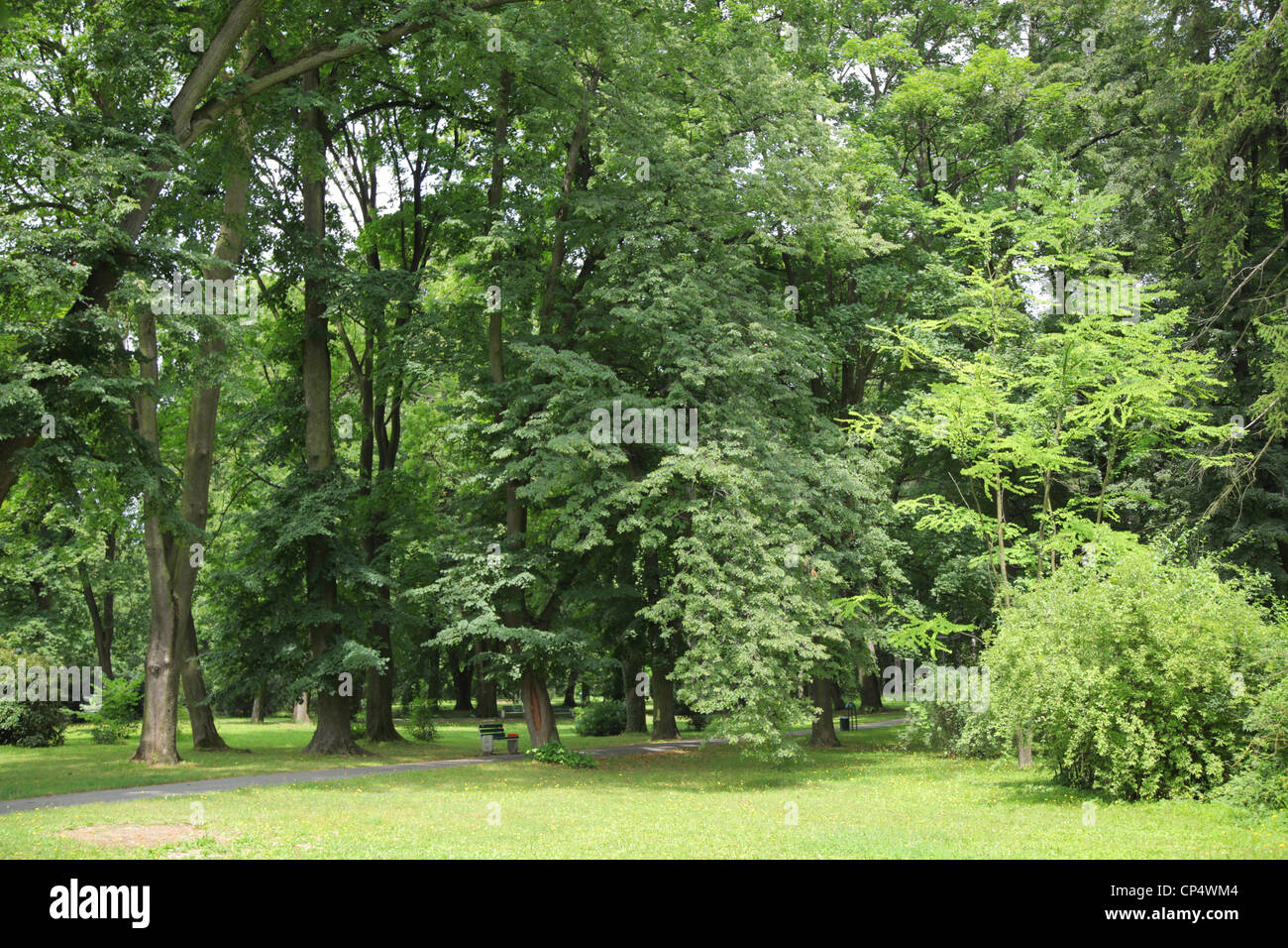 Slovakia park hi-res stock photography and images - Alamy