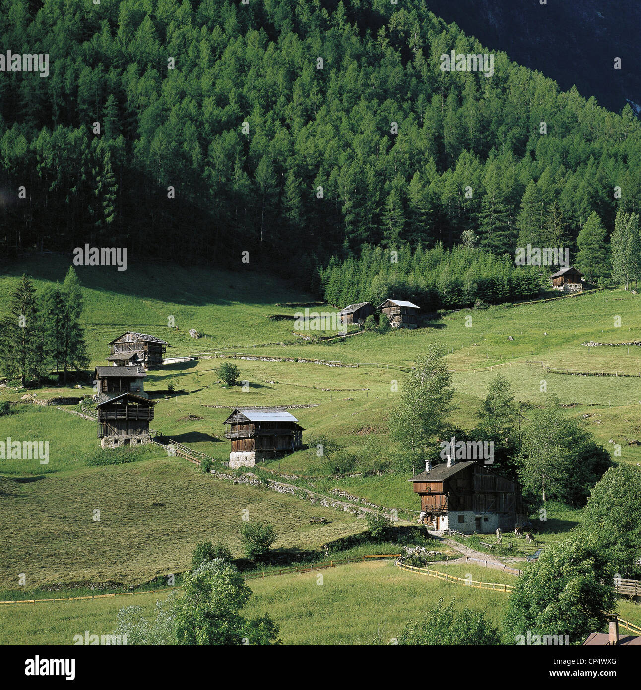 Val di rabbi hi-res stock photography and images - Alamy