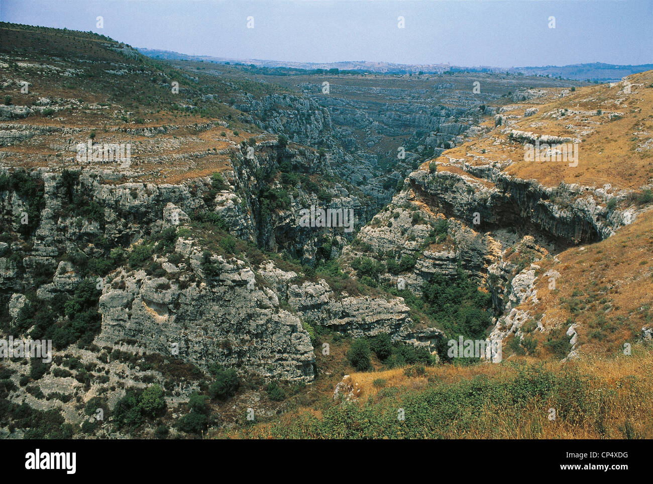 Ible hi-res stock photography and images - Alamy