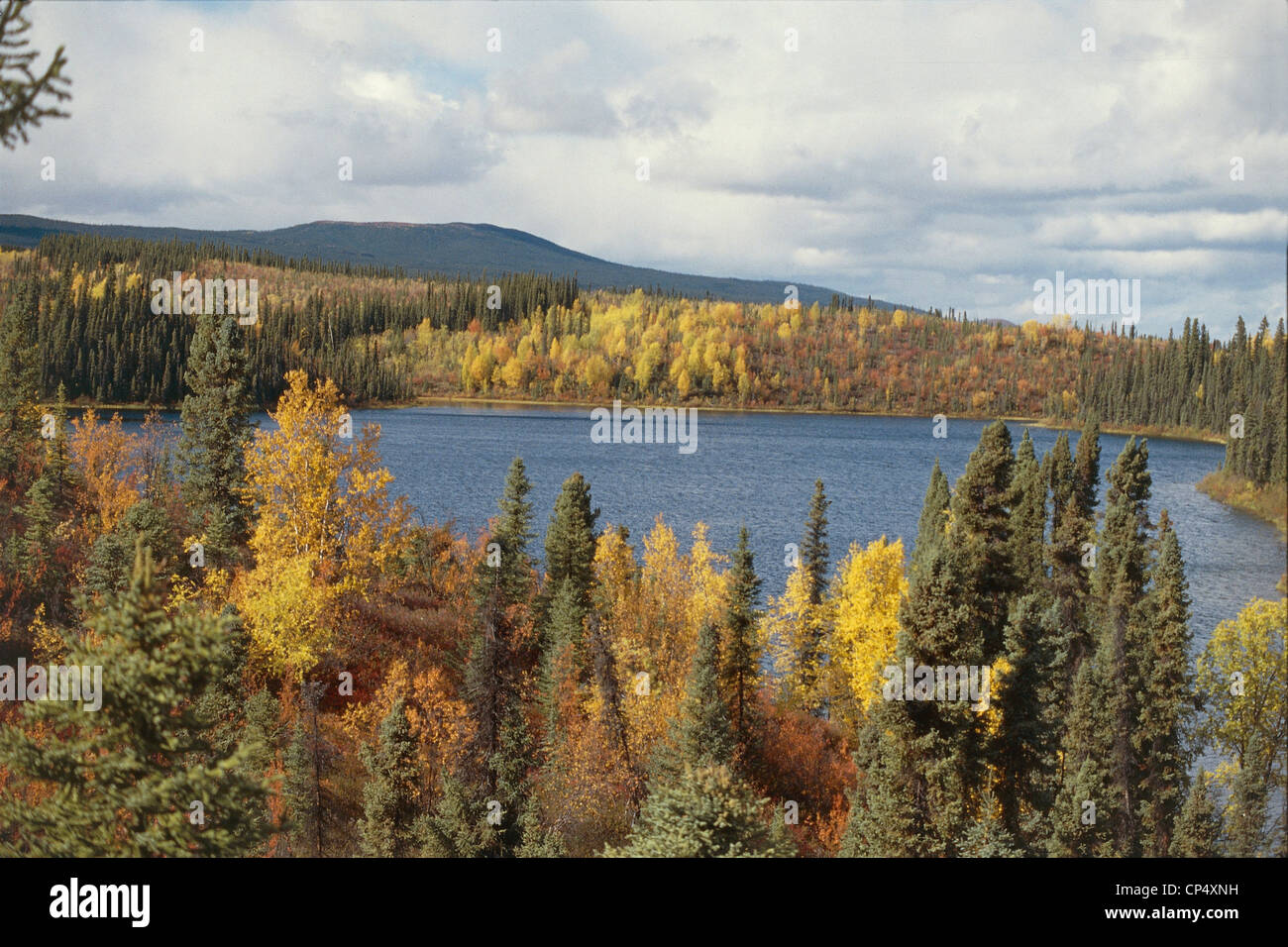 Canada - Yukon - Dragon Lake Stock Photo - Alamy