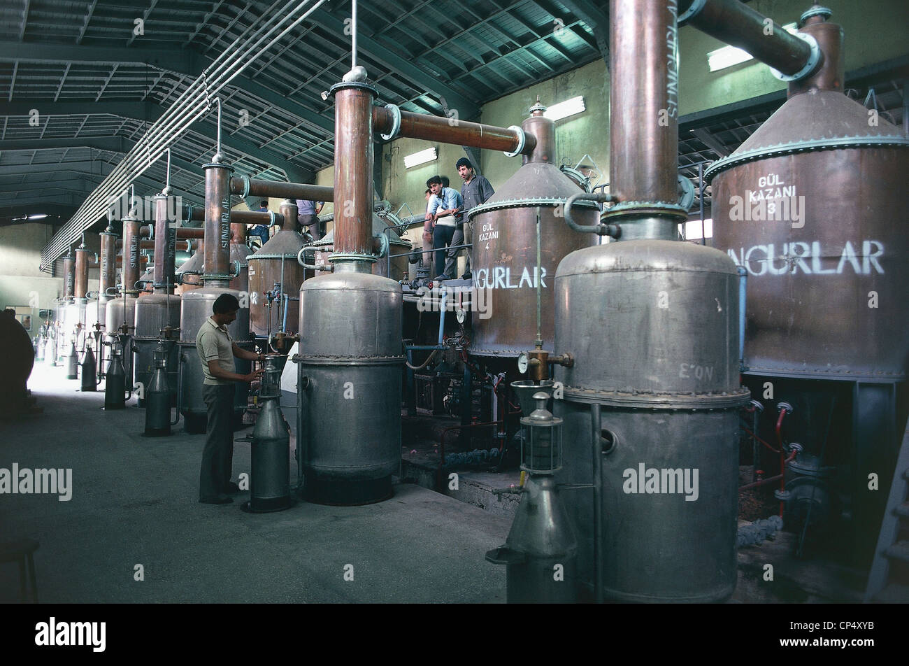 Turkey - Isparta. Distilling the essence of roses Stock Photo - Alamy
