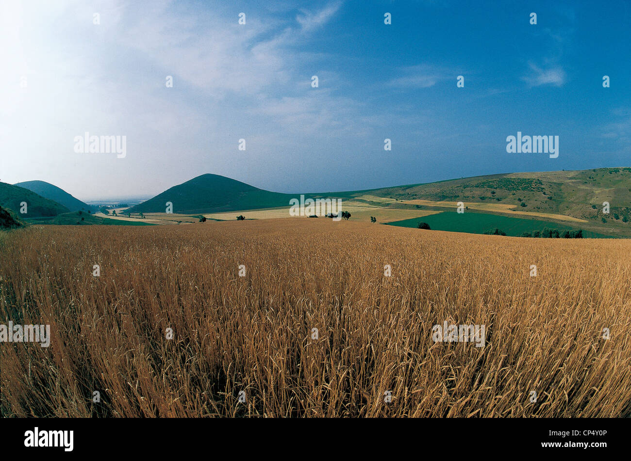 Turkey - Antakya - Agricultural Landscape Stock Photo - Alamy