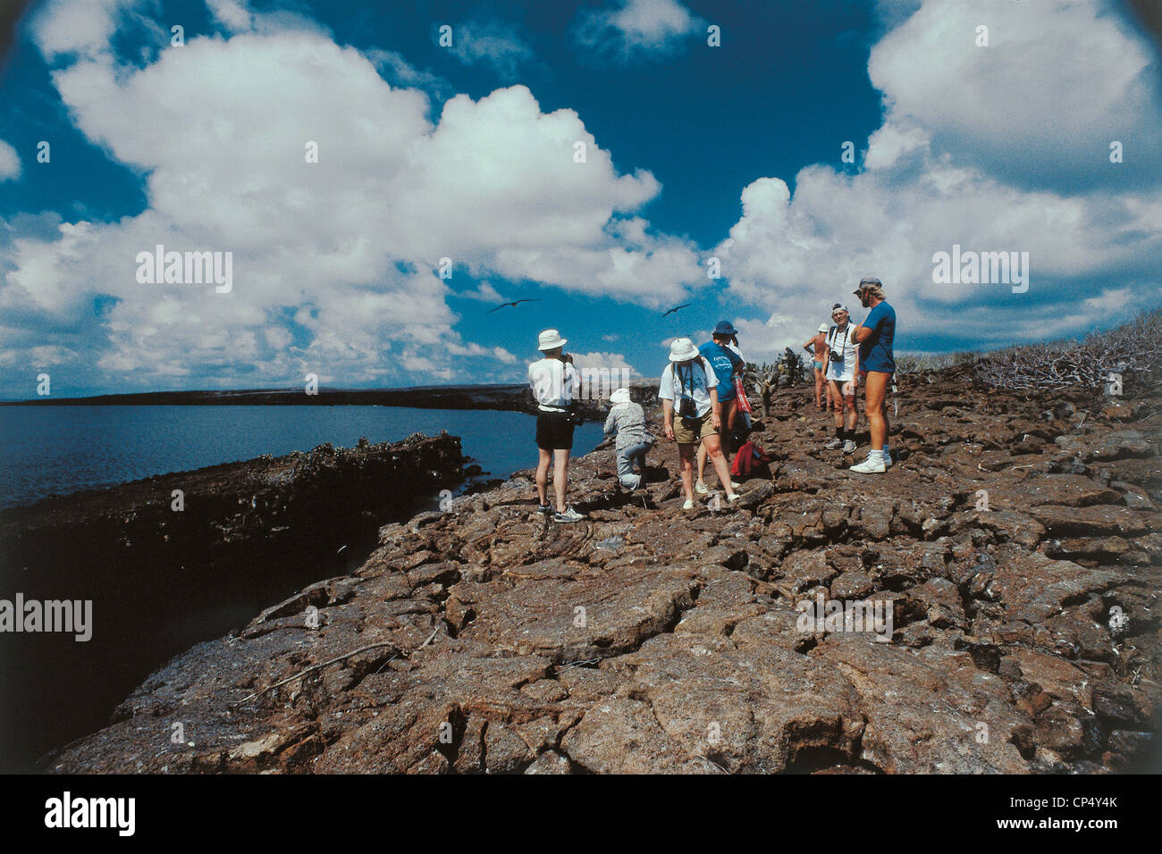 Galapagos Island Tourists Tower Stock Photo - Alamy
