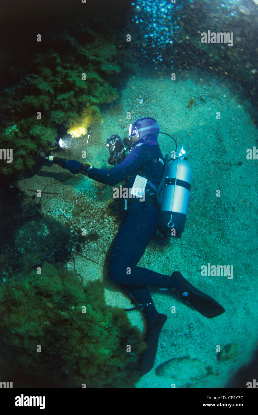 Tuscany - Island of Monte Cristo. Underwater Stock Photo - Alamy