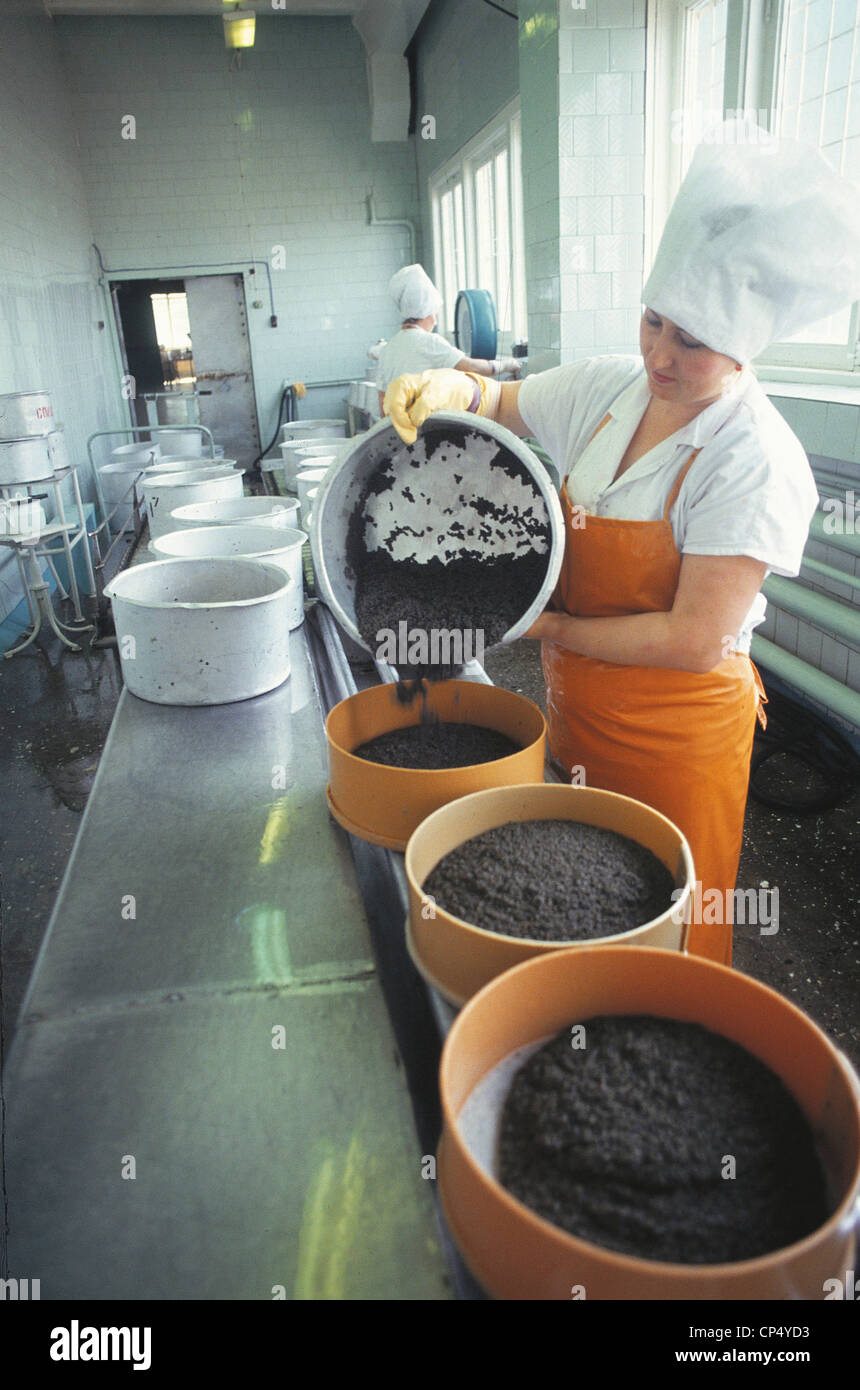 Russia astrakhan astrakhan astrakhan caviar hi-res stock photography ...