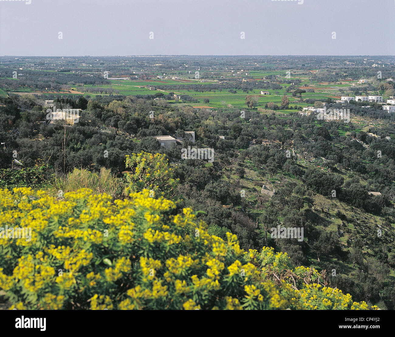 Puglia - Landscape in the countryside of Salento (Le Stock Photo - Alamy