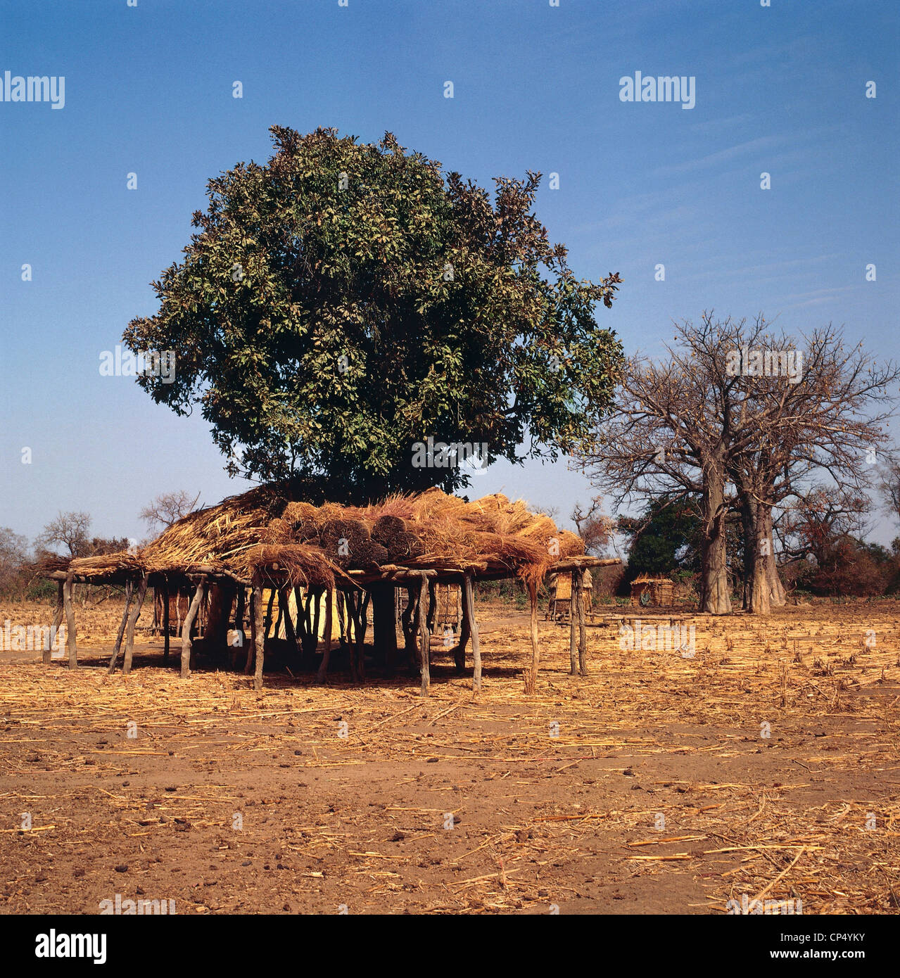 Burkina Faso - Village near Diapaga Stock Photo - Alamy