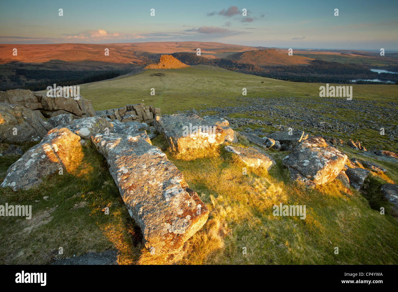 Evening sunlight at Leather tor on Dartmoor Stock Photo - Alamy