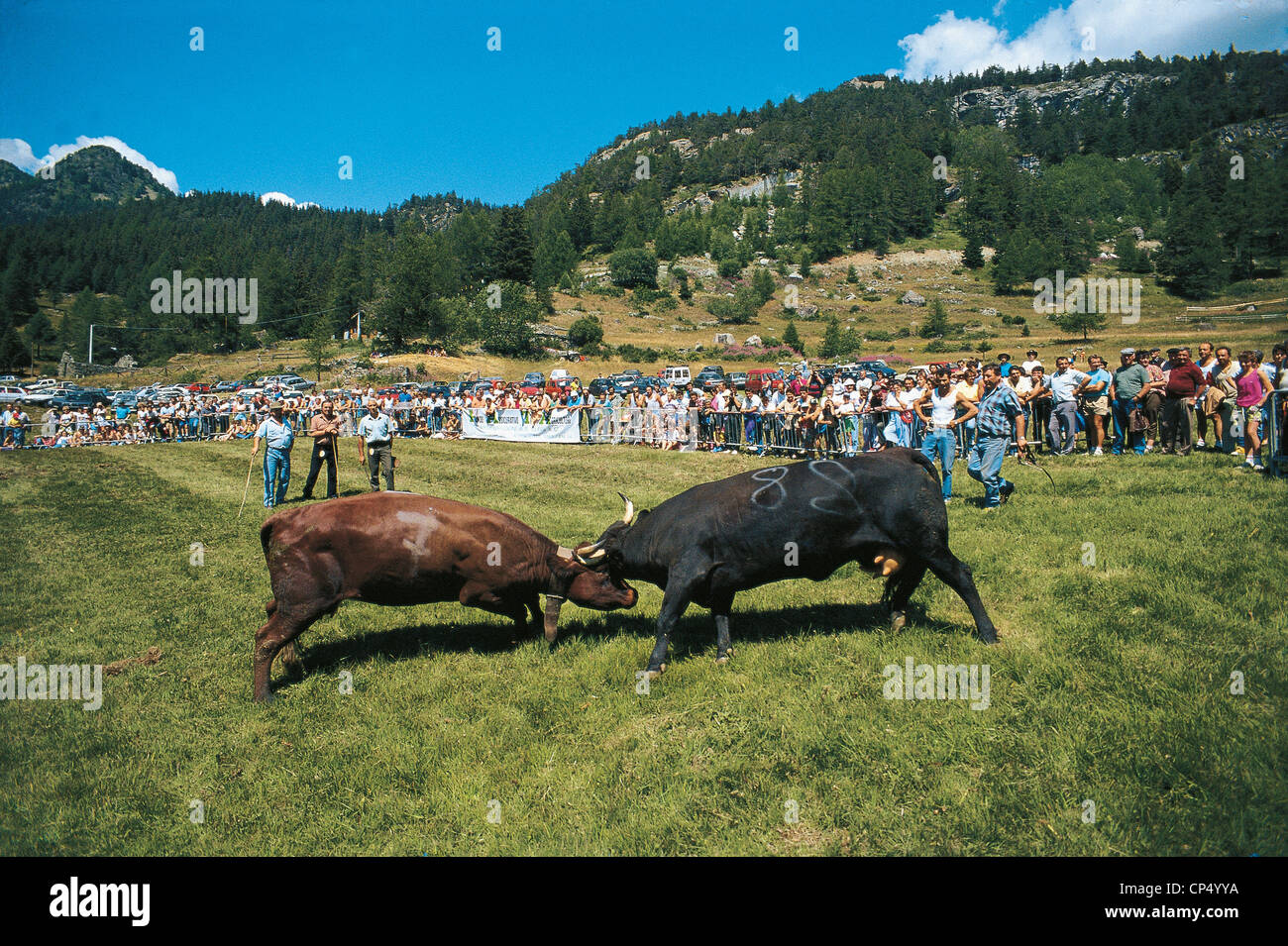 Valle de joux hi-res stock photography and images - Alamy