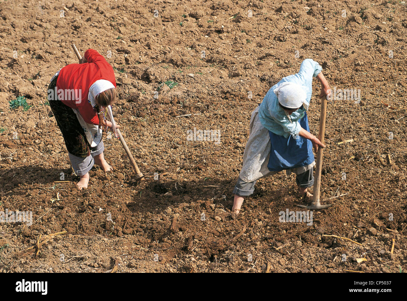 Albania Farmer High Resolution Stock Photography and Images - Alamy