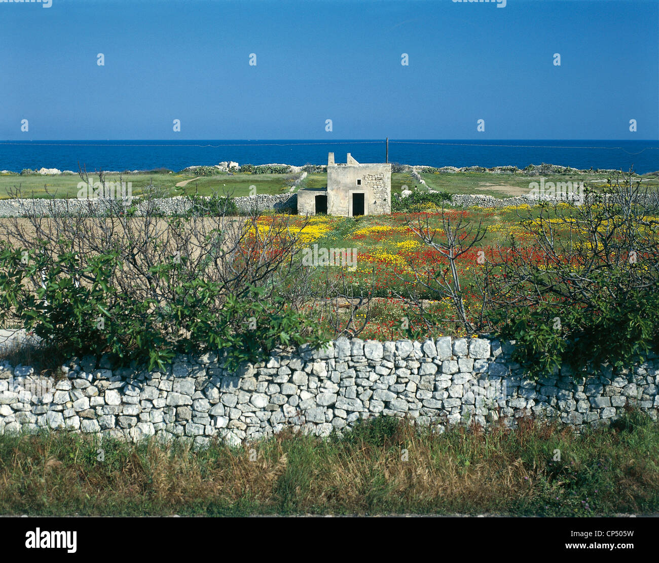 Puglia - Traditional dry stone walls on the coast between Bari and ...