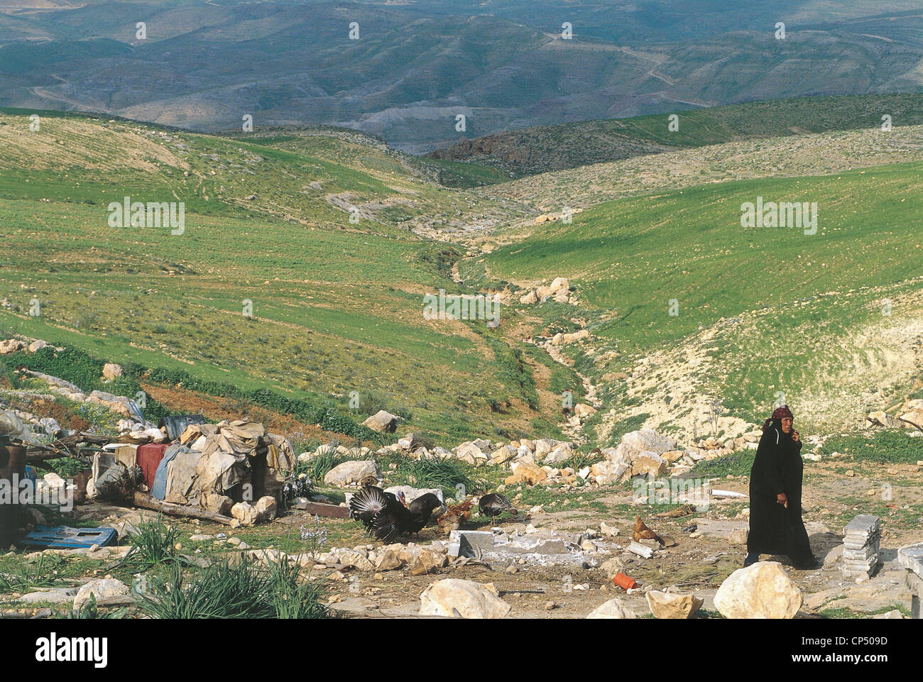 Jordan - The Jordan Valley Stock Photo - Alamy